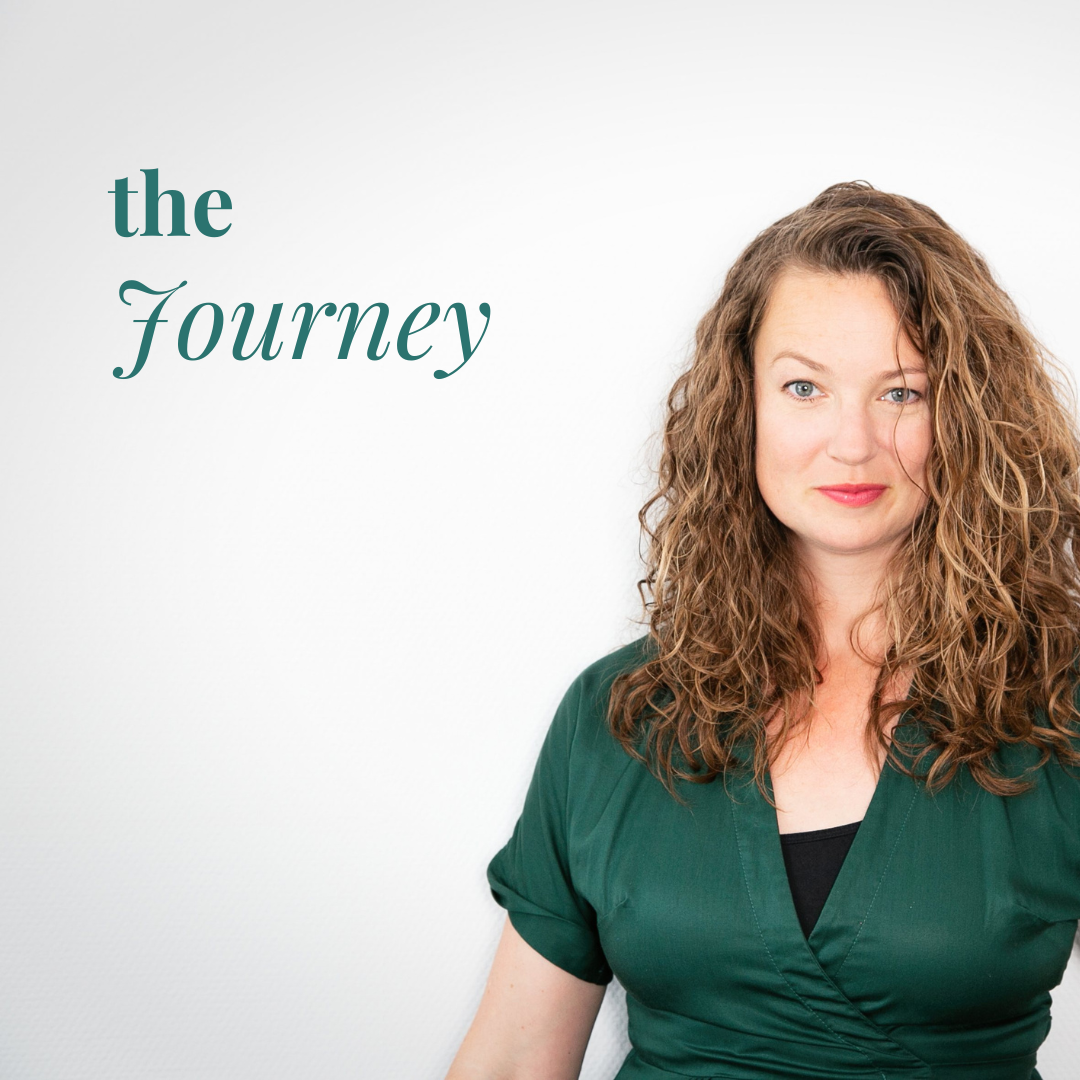 The Journey - Patricia Panasri